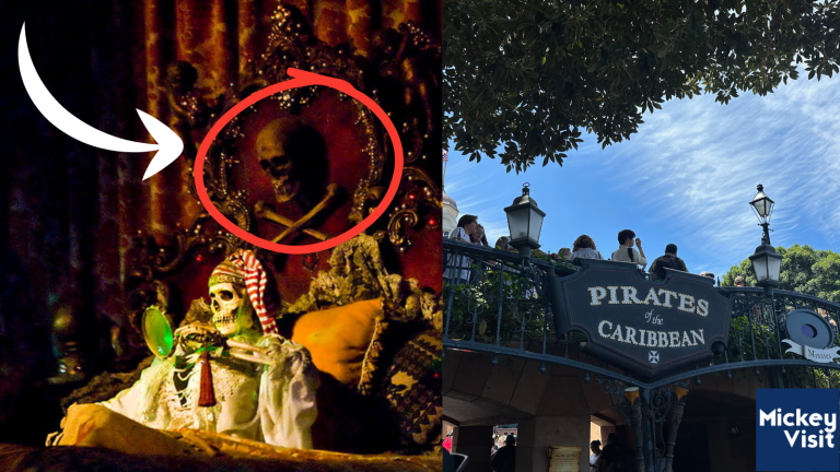 Real Human Skull in Pirates of the Caribbean Disneyland