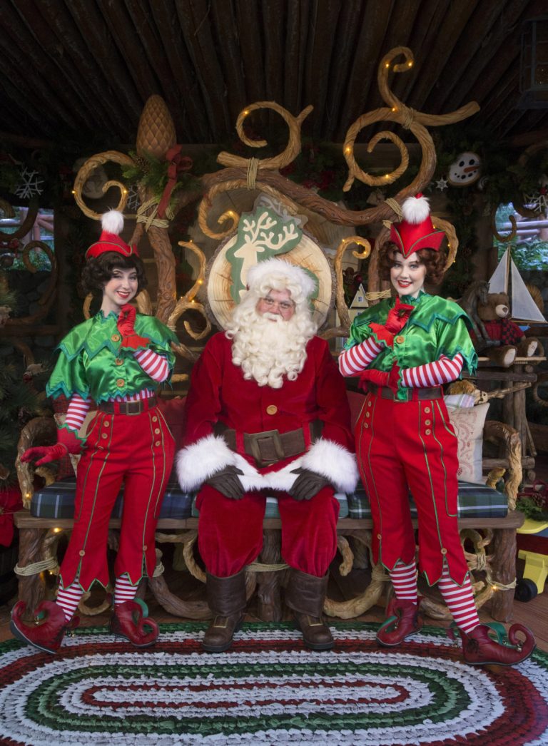 Top 12 Disneyland Christmas Must-See Experiences