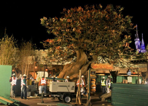15 Overlooked Details of Disney History at Walt Disney World