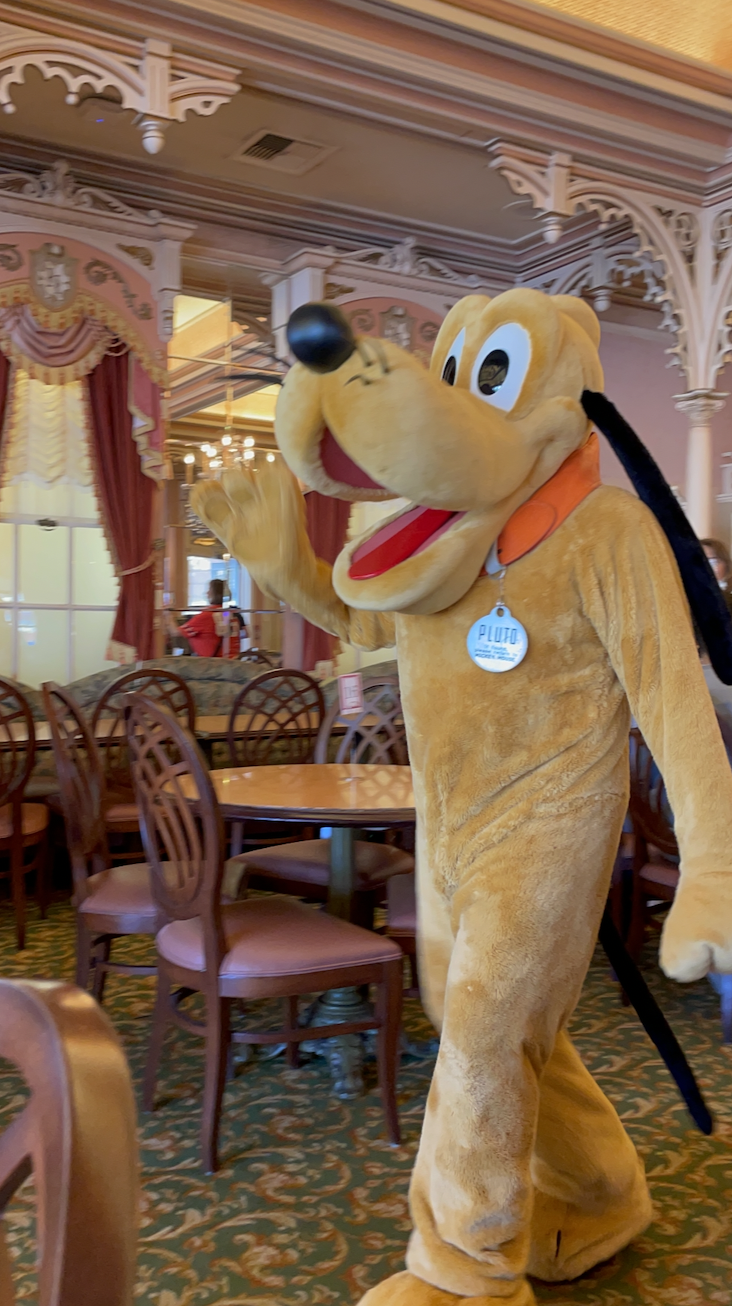 Minnie & Friends – Breakfast in the Park at the Plaza Inn Review