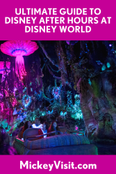 Disney After Hours at Walt Disney World - Everything You Need to Know