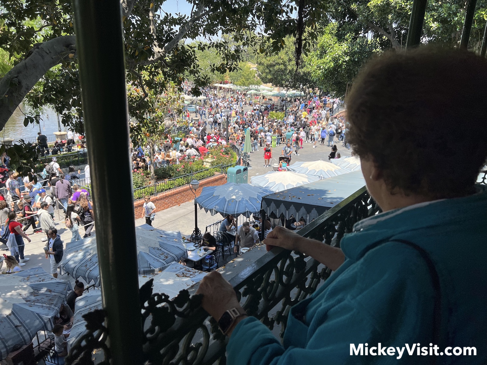 Inside Disneyland Club 33 - REVIEW, Membership Details