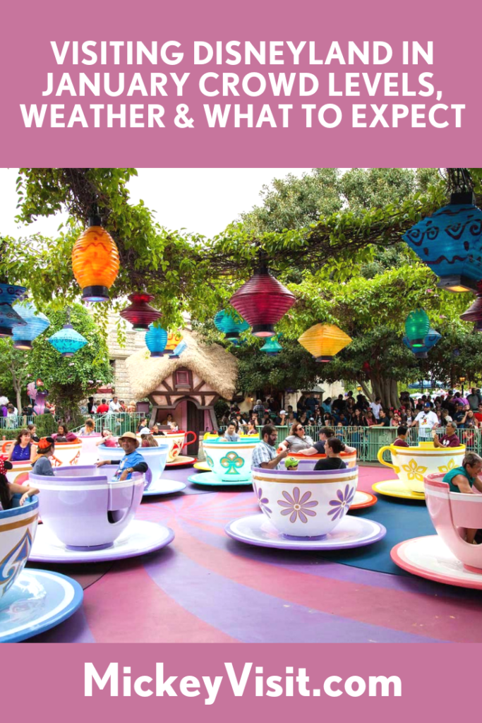 Disneyland in January 2025: Low Crowds, Maximizing Time, Weather