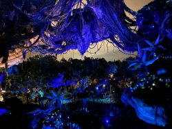 You Need to Read This Before Visiting Pandora World of Avatar at Animal ...