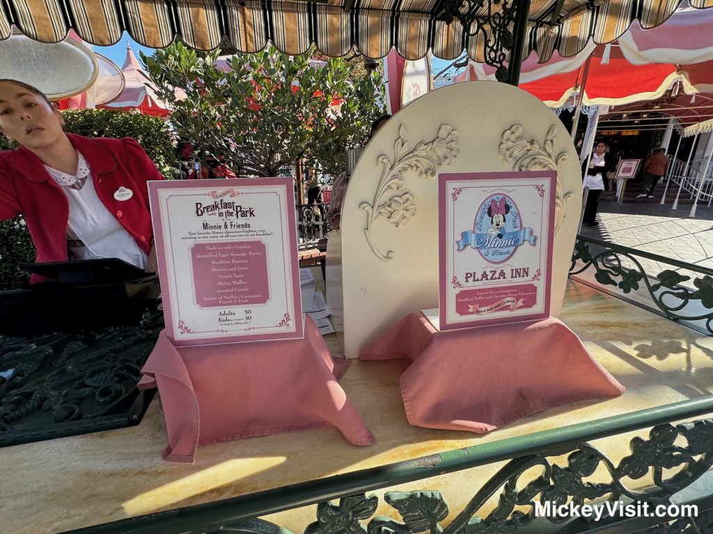 Minnie & Friends Character Dining Review- See Why I've Repeated This ...