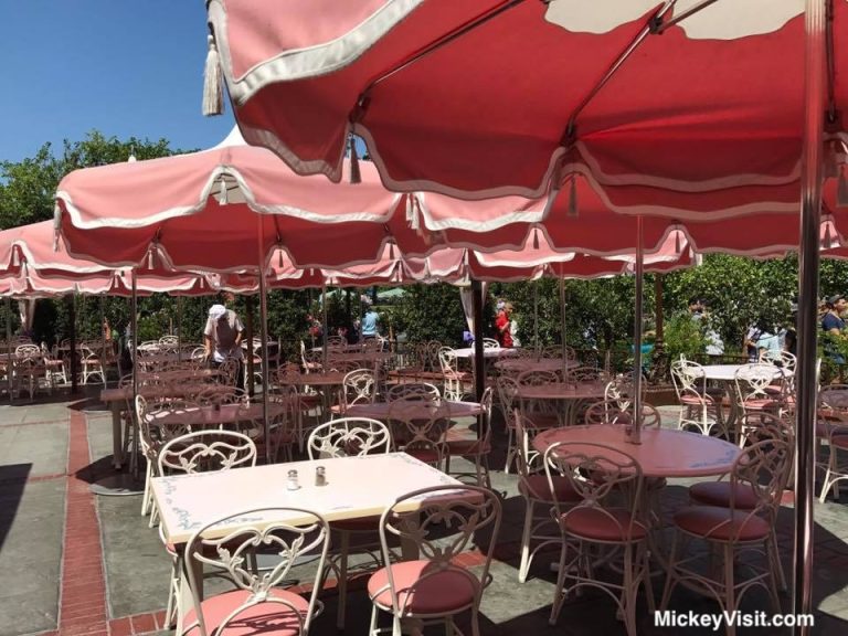 Minnie & Friends Character Dining Review- See Why I've Repeated This ...