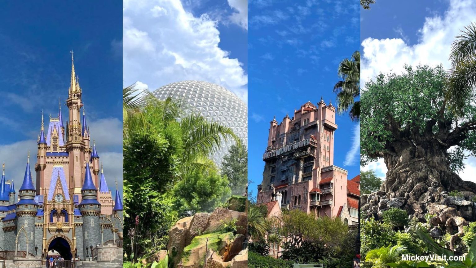 Walt Disney World Theme Park Rope Drop Strategies: Touring Guides with ...
