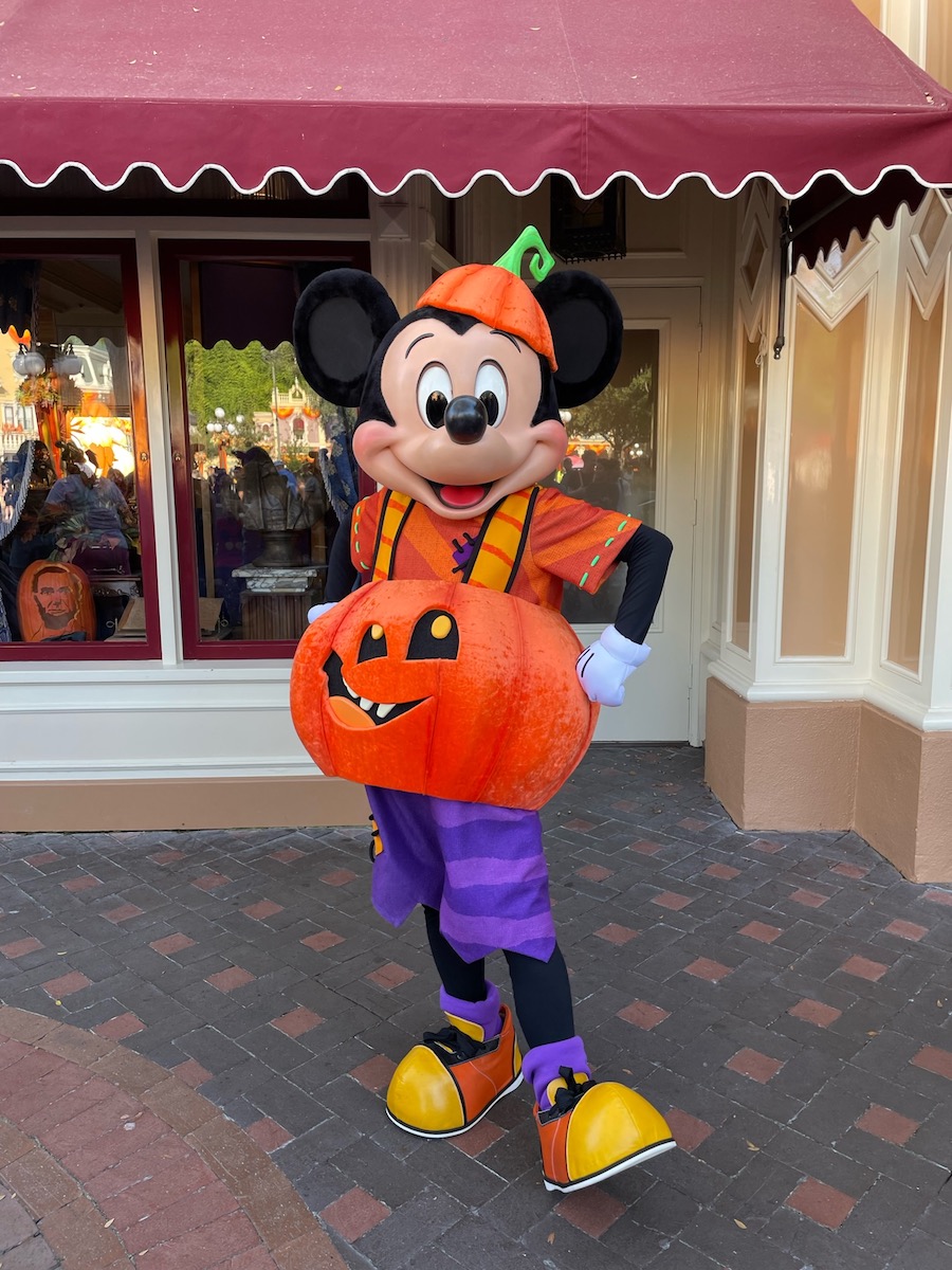 PHOTOS: First Disneyland Halloween Decorations in Cars Land