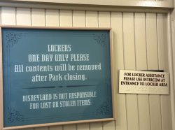 Renting Lockers at Disneyland- Price, Size, Location