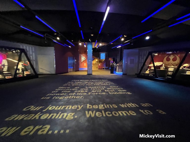 Disney Vacation Club Lounge at Disneyland - PHOTOS, Details