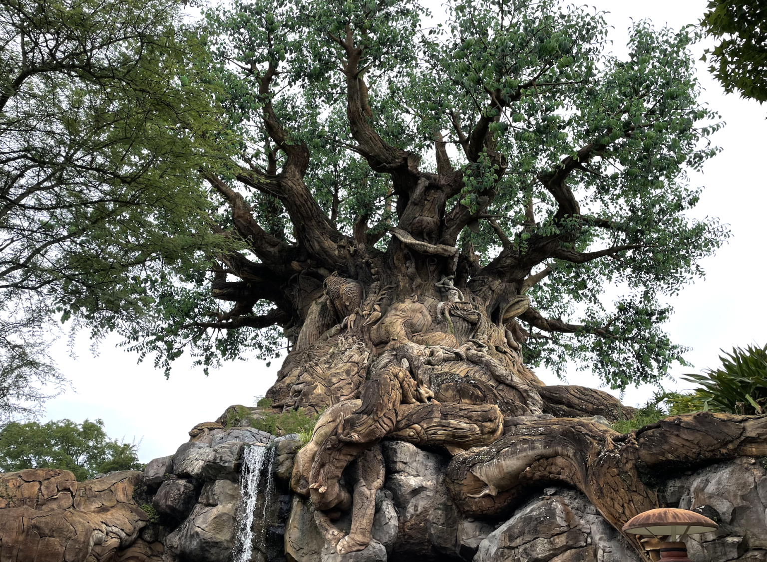 Best Animal Kingdom Rides - Top Disney World Rides 2024 - Mickey Visit ...