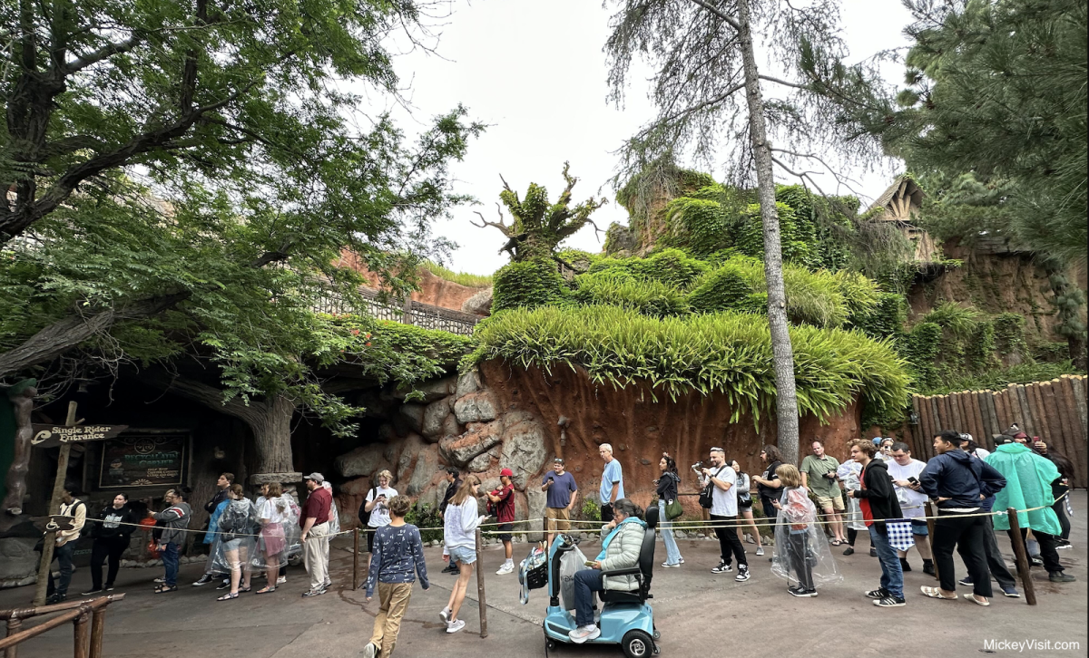 PHOTOS! Disneyland's Splash Mountain Closing Day Draws Crowds