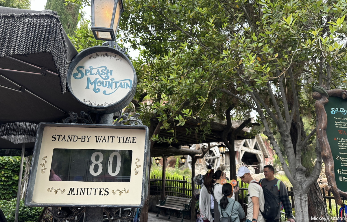 PHOTOS! Disneyland's Splash Mountain Closing Day Draws Crowds