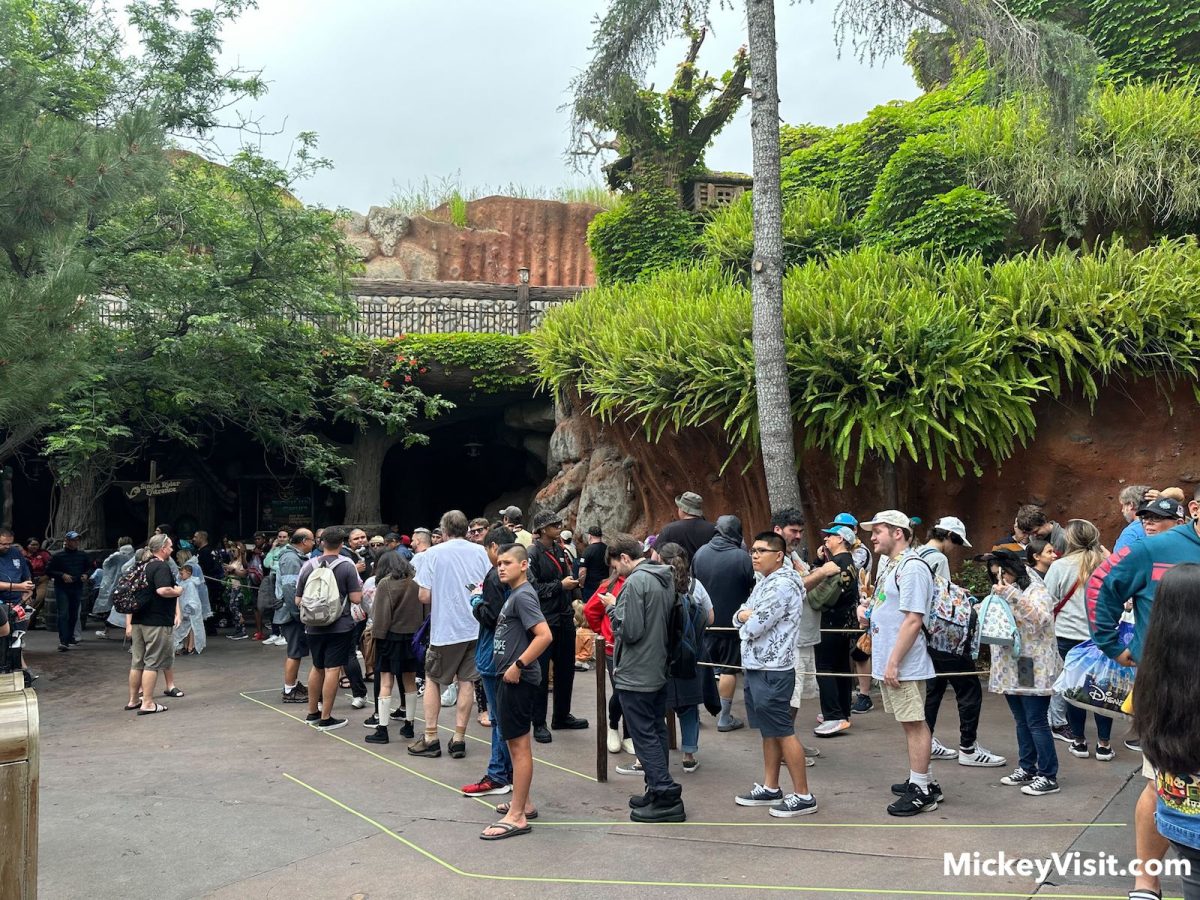 PHOTOS! Disneyland's Splash Mountain Closing Day Draws Crowds