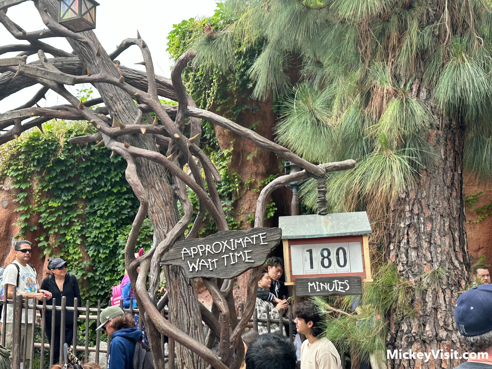 PHOTOS! Disneyland's Splash Mountain Closing Day Draws Crowds