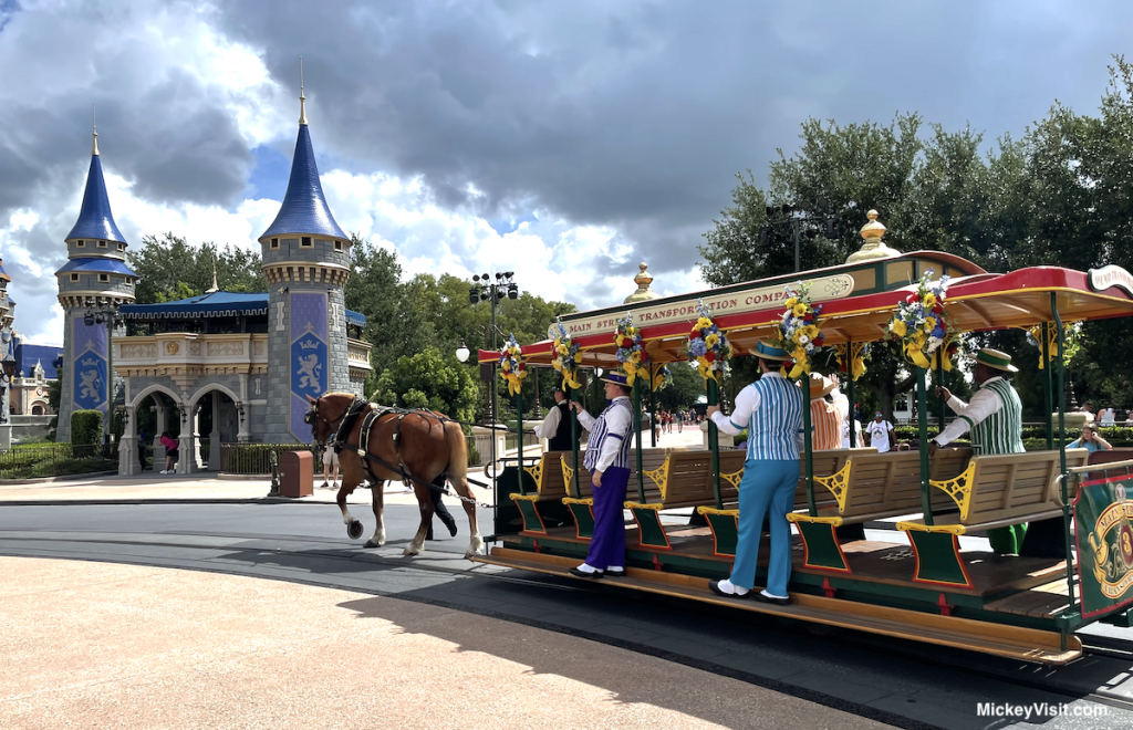 Tips for Grocery Delivery at Walt Disney World