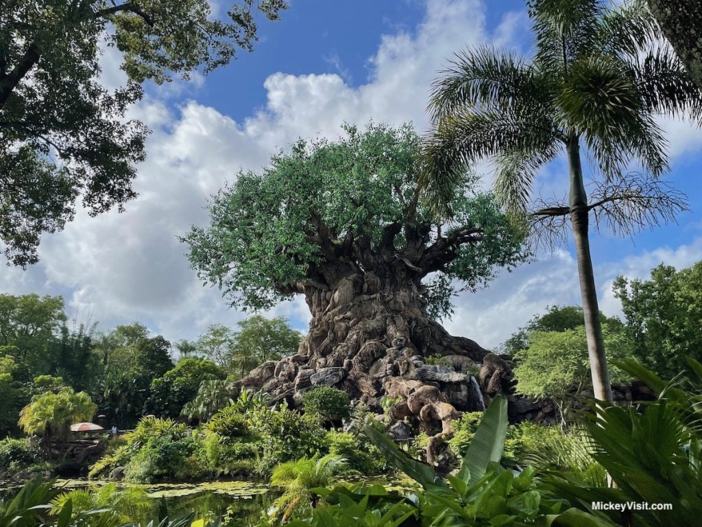 2026 Best Shoes For Disney World - All Our TESTED Favorites!