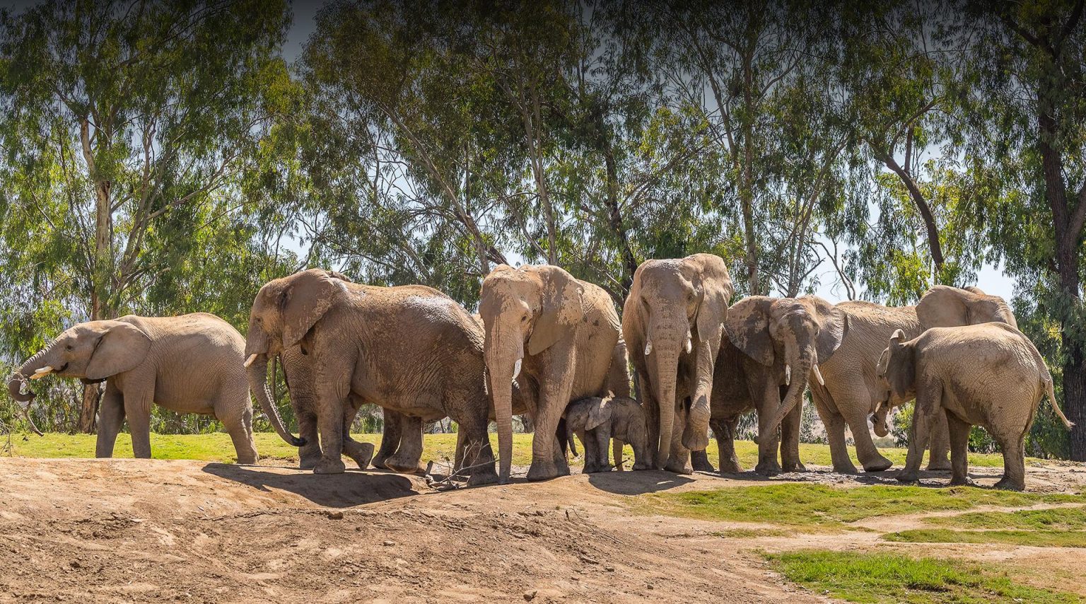 Beyond Disneyland for Kids: 9 Stops in Anaheim & Nearby For Rest Day ...