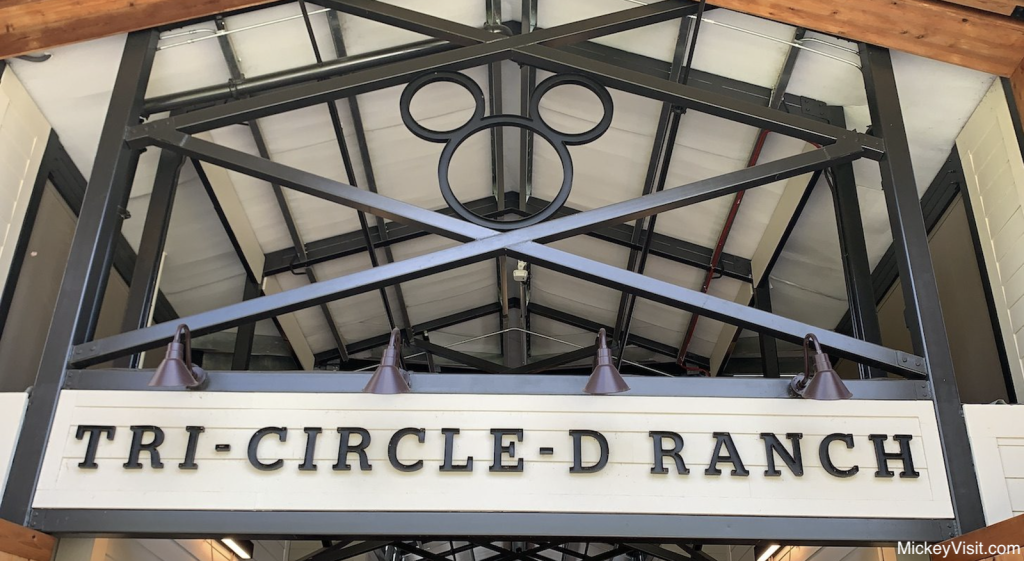 20 Hidden Things to Do at Walt Disney World - Mickey Visit - Disney ...