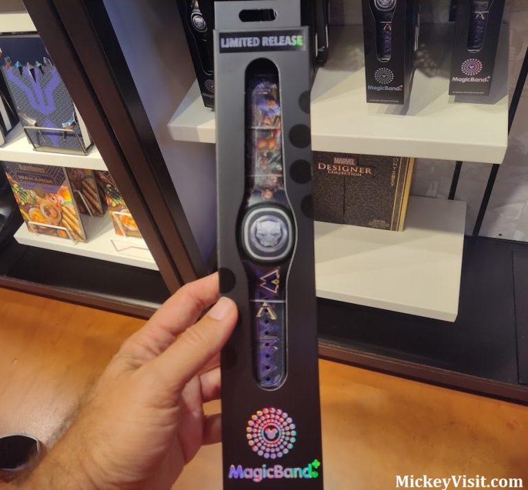Marvel at Disney World- Guardians of the Galaxy Ride, MORE Marvel Coming?