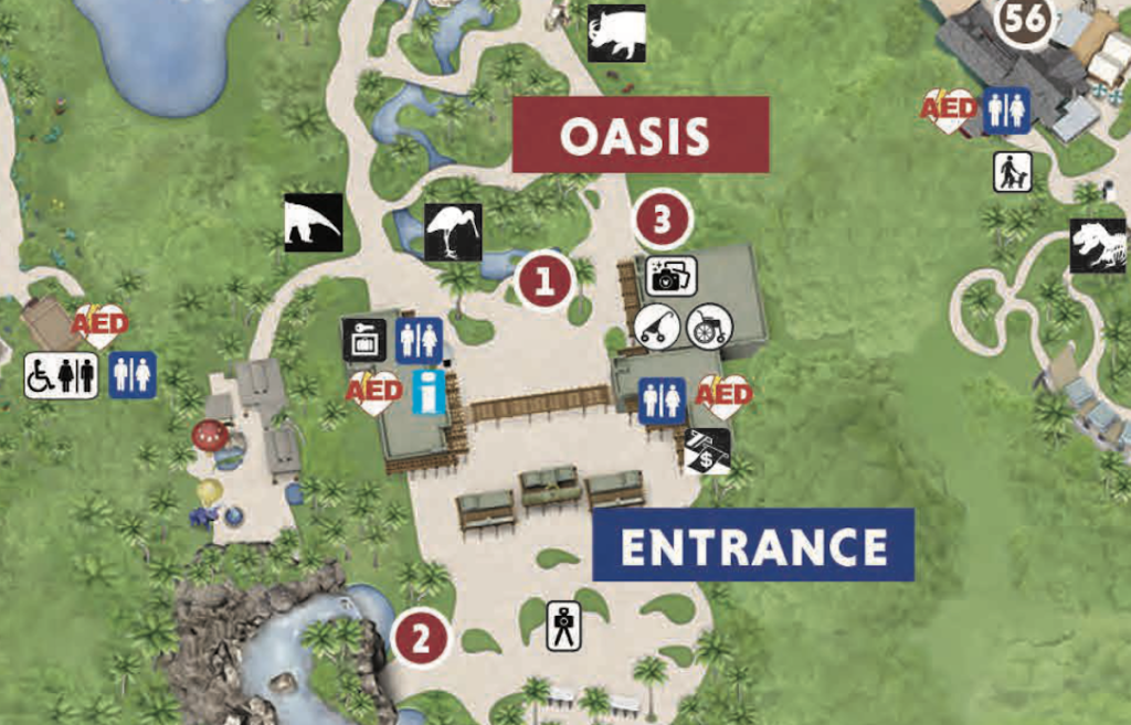 2026 Disney's Animal Kingdom Map (Printable PDF & Details)