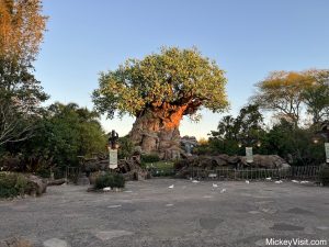 2026 Disney's Animal Kingdom Map (Printable PDF & Details)