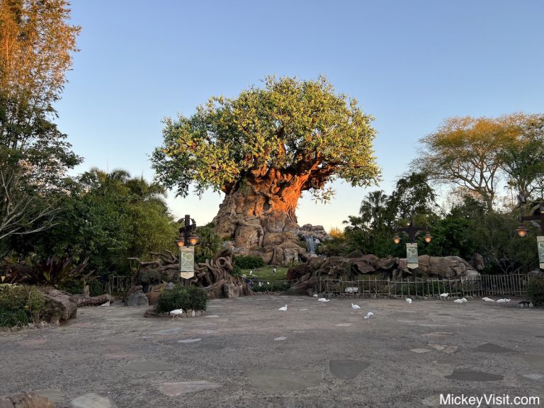 2026 Disney's Animal Kingdom Map (Printable PDF & Details)