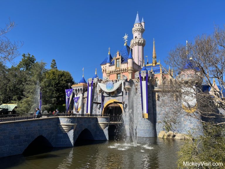 Special Prize For First Pickle of the Day at Disneyland - Details!