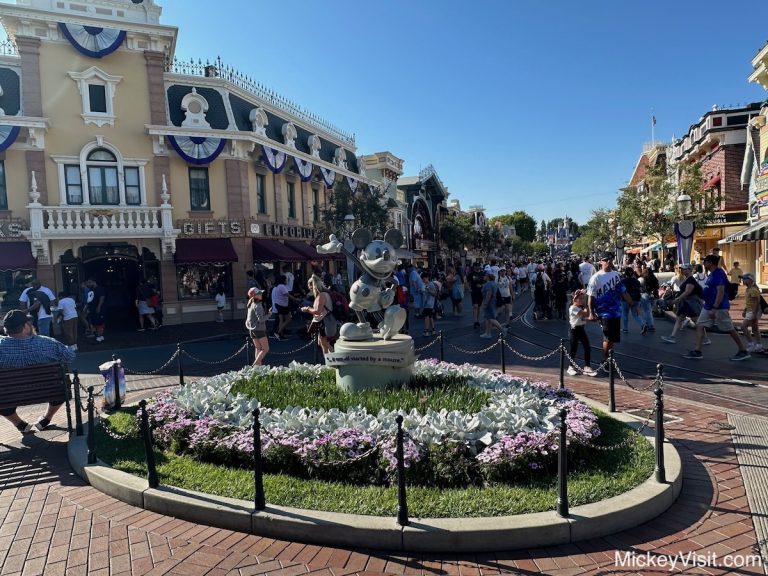 Special Prize For First Pickle of the Day at Disneyland - Details!