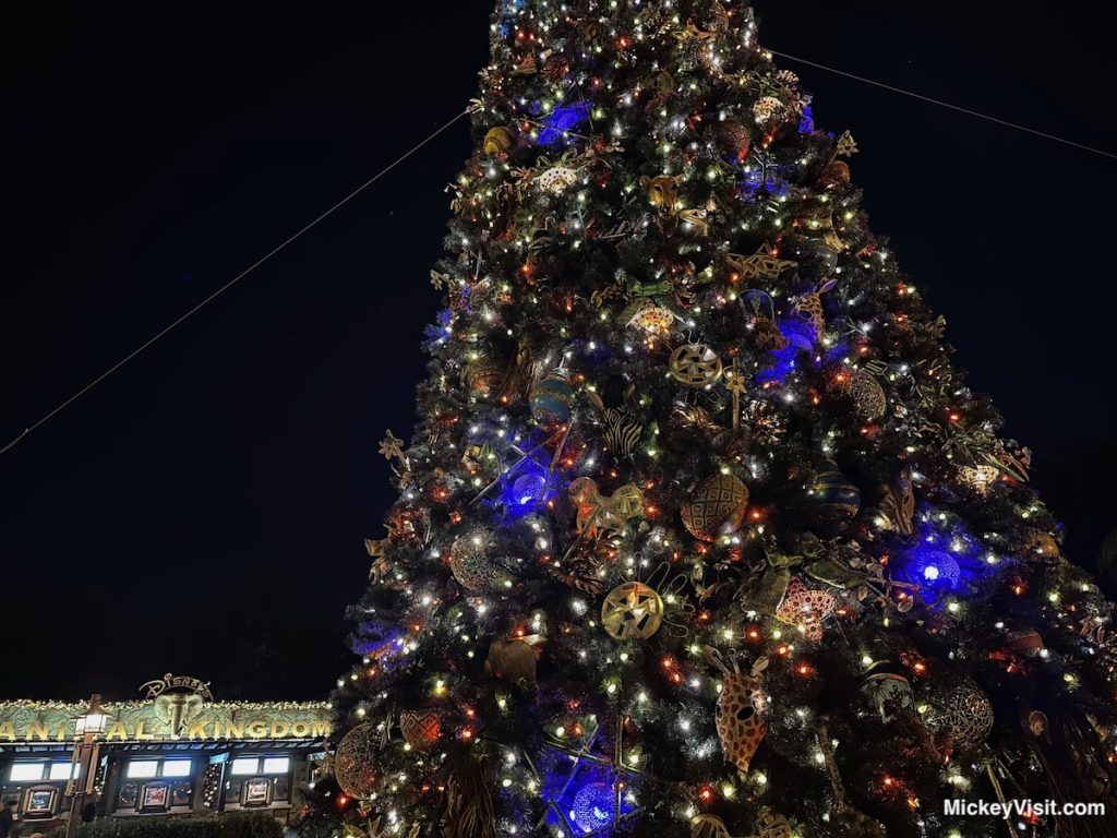 Animal Kingdom Christmas Guide- Festive Decor, Food, Special Offerings ...