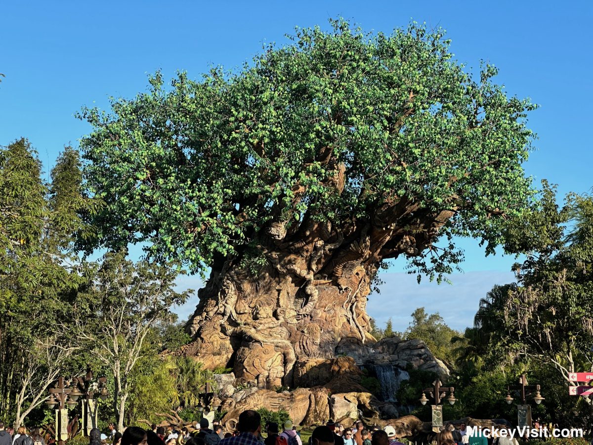 Disney Animal Kingdom Tickets 2025 - Prices, Discounts, Tips