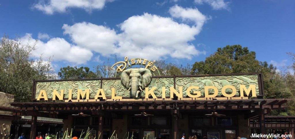 Disney Animal Kingdom Tickets 2025 - Prices, Discounts, Tips