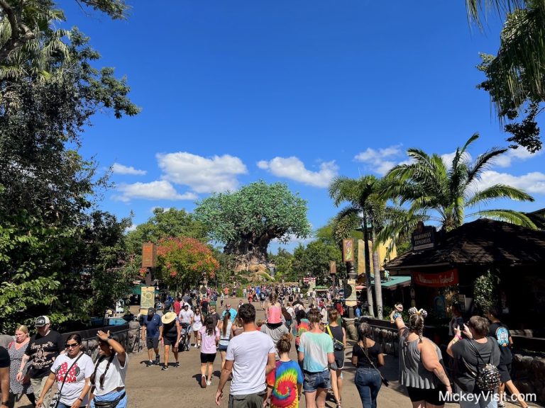Costco Is Currently Offering Disney Gift Card Discount For a Big ...