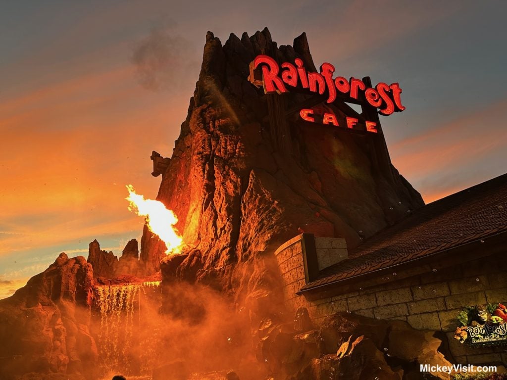 Yes, We Eat at Rainforest Café Every Disney World Trip. Here's Why!