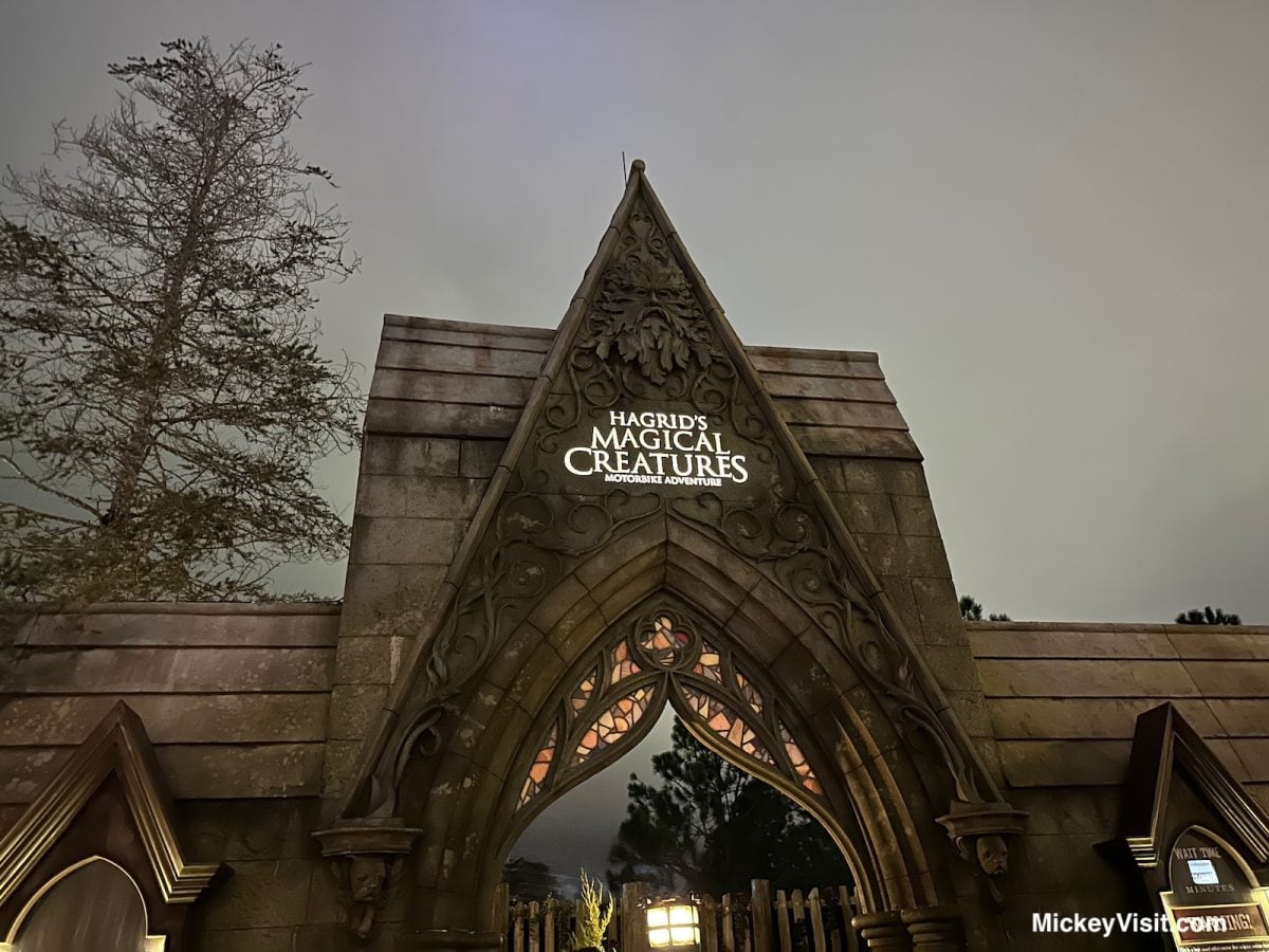 How to Ride Hagrid's Magical Creatures Motorbike Adventure at Universal ...