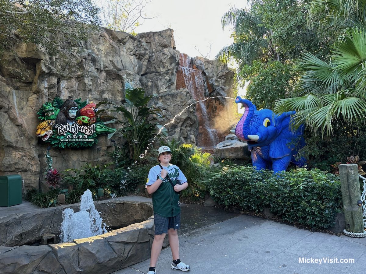 Yes, We Eat at Rainforest Café Every Disney World Trip. Here's Why!