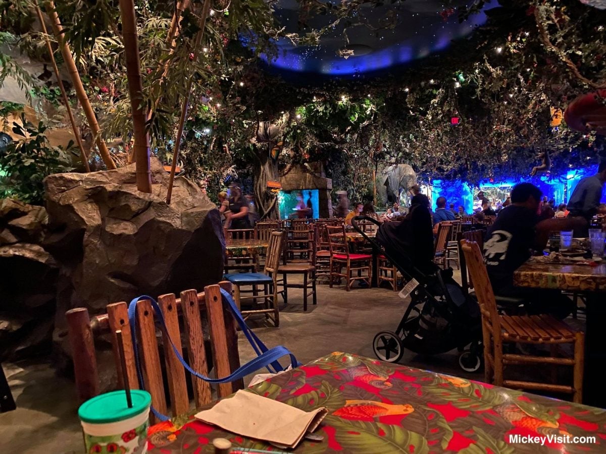 Yes, We Eat at Rainforest Café Every Disney World Trip. Here's Why!