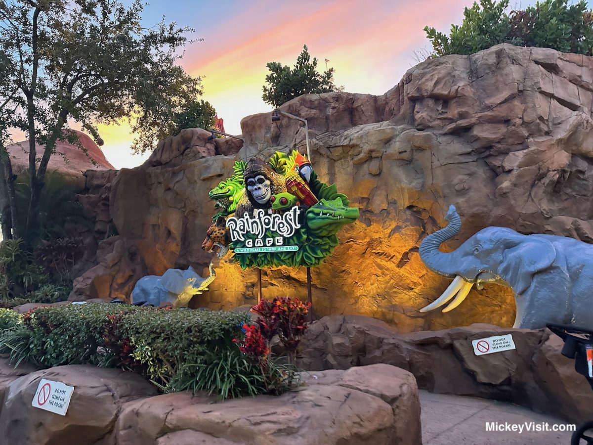 Yes, We Eat at Rainforest Café Every Disney World Trip. Here's Why!