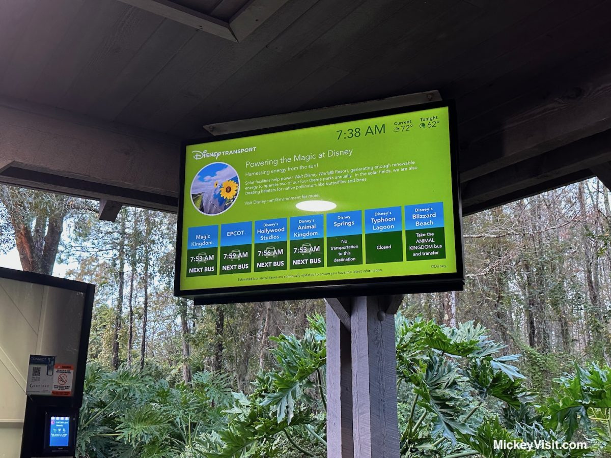Disney World Bus Transportation Overview