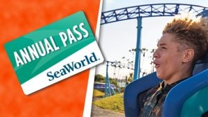 SeaWorld Orlando Discount Tickets- How to Find Cheap SeaWorld Tickets