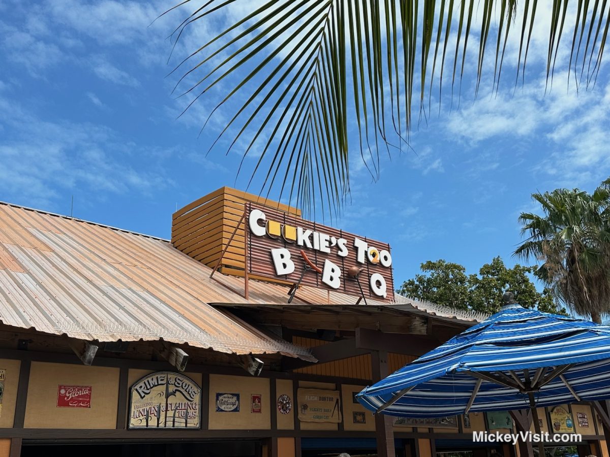 Lighthouse Cay vs Castaway Cay- I've Been to Both Disney Islands