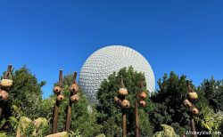Disney World Weather By Month - Tips For Each Month of the Year
