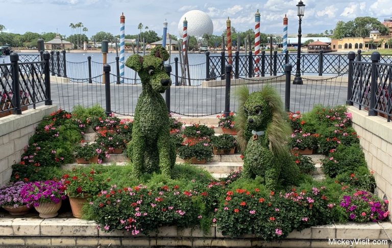 Disney World Weather By Month - Tips For Each Month of the Year