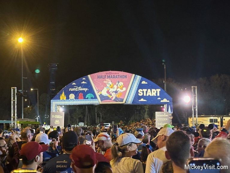 10 Reasons Why You Shouldn't Do a runDisney Race - Mickey Visit ...