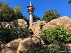 Disney World Weather By Month - Tips For Each Month of the Year