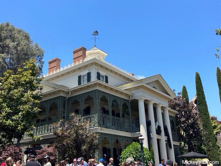 Disney Jail - Is it Real? What is it Like?