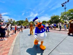 Disneyland Street Addresses: Hotels and Theme Parks
