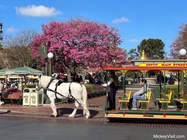 Disneyland Street Addresses: Hotels and Theme Parks