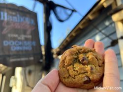 We Tried Disneyland’s “Viral” Chocolate Chip Cookies!