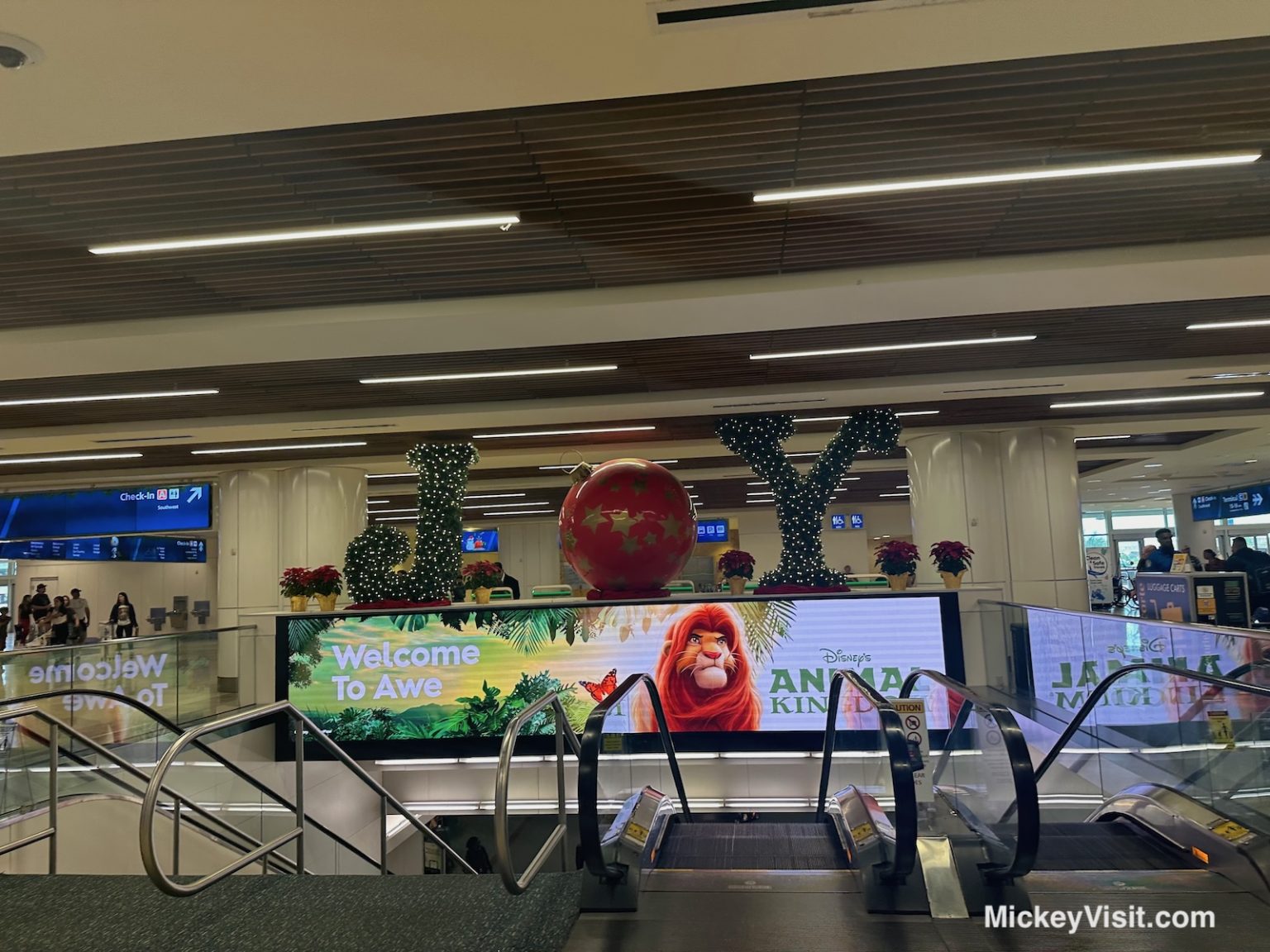 Disney World Gets More Flight Options After Spirit Airlines Collapse ...
